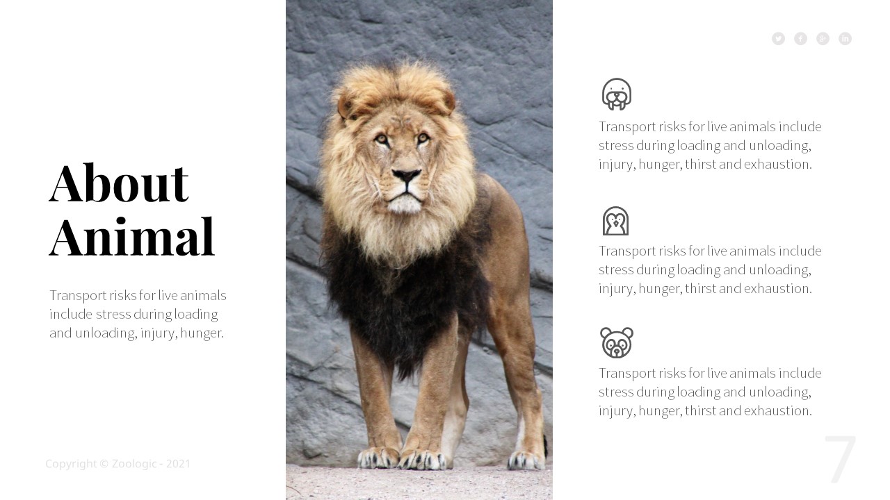 Zoologic Animal Presentation Template, Presentation Templates ...
