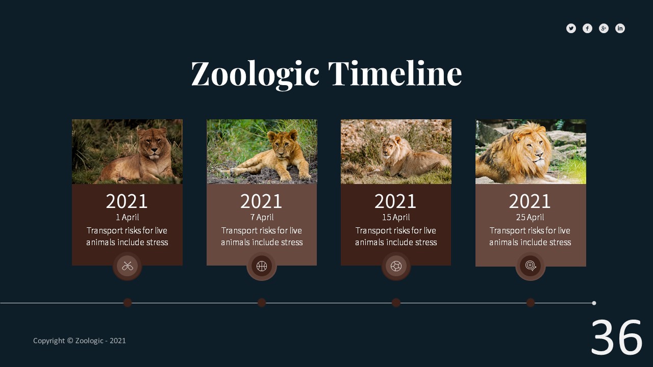 Zoologic Animal Presentation Template, Presentation Templates ...