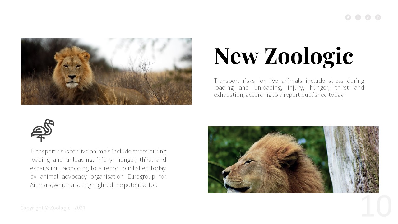 Zoologic Animal Presentation Template, Presentation Templates ...