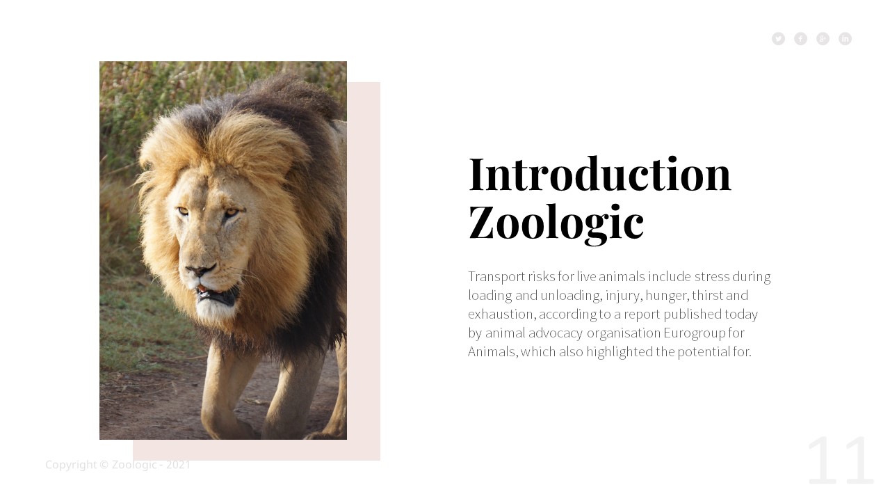 Zoologic Animal Presentation Template, Presentation Templates ...