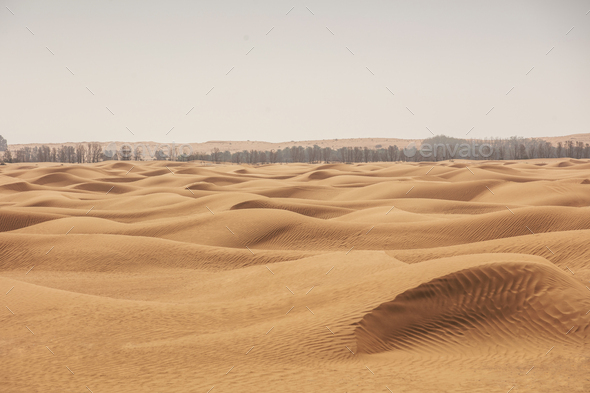 Farm behind the sand dunes Stock Photo by iiMOHAMMEDii | PhotoDune