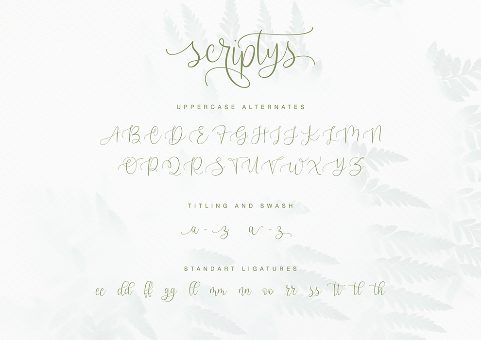 Scriptys, Fonts | GraphicRiver