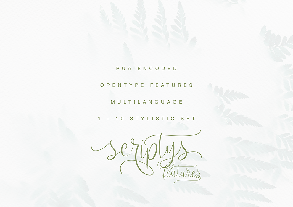 Scriptys, Fonts | GraphicRiver