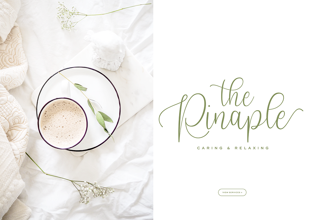 Scriptys, Fonts | GraphicRiver