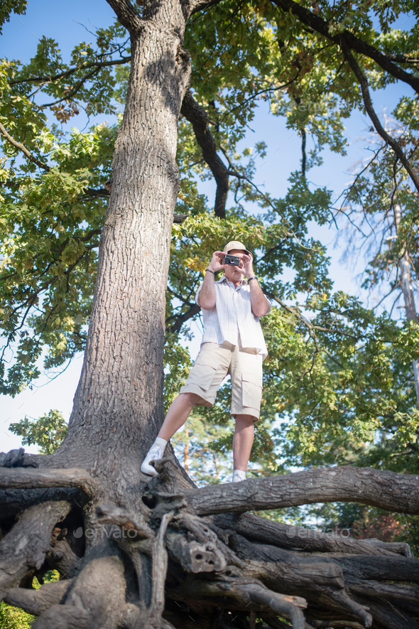 Man wearing shorts standing on big tree and taking photo of forest ...