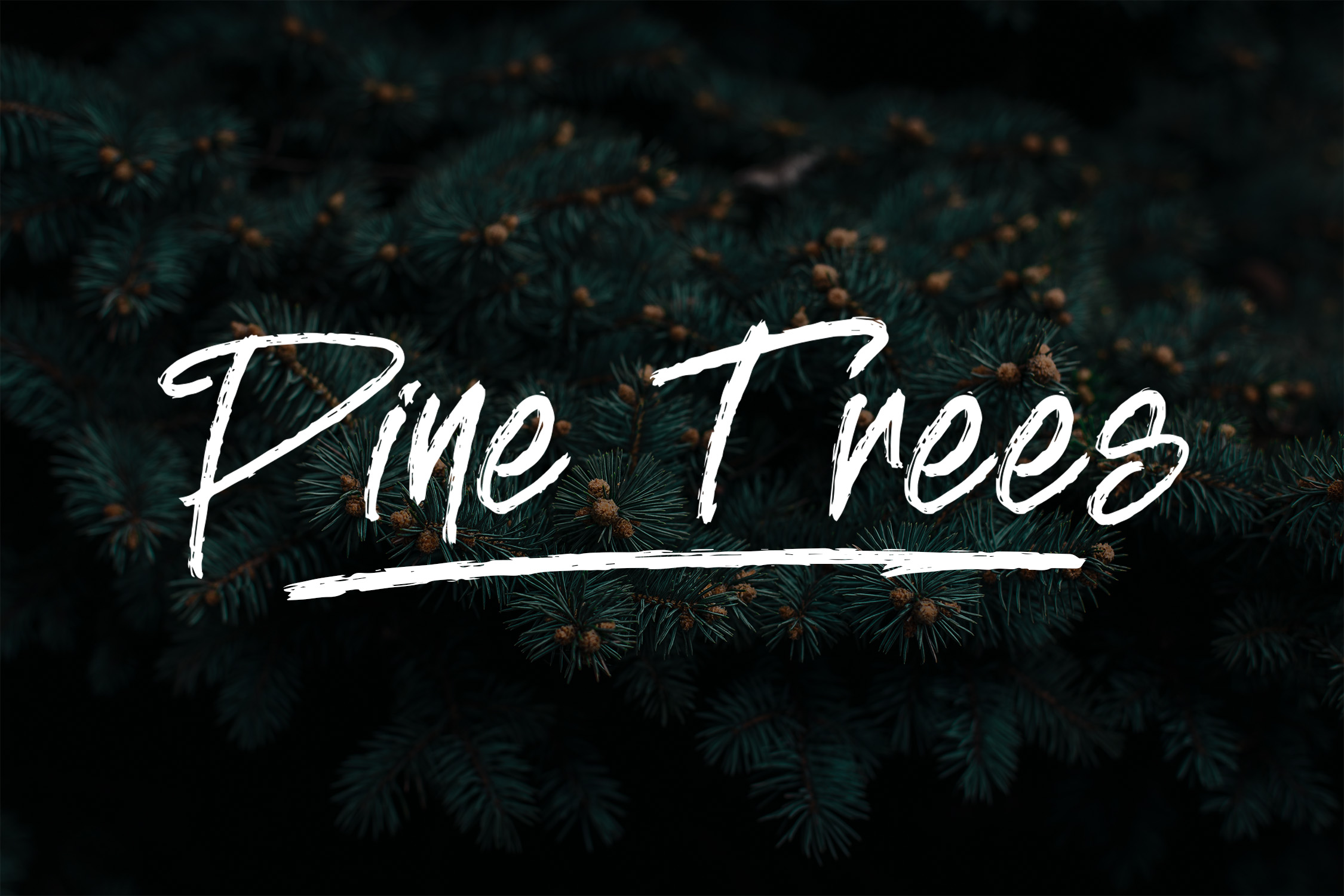 BREAKING RULE - Rough Brush Font, Fonts | GraphicRiver