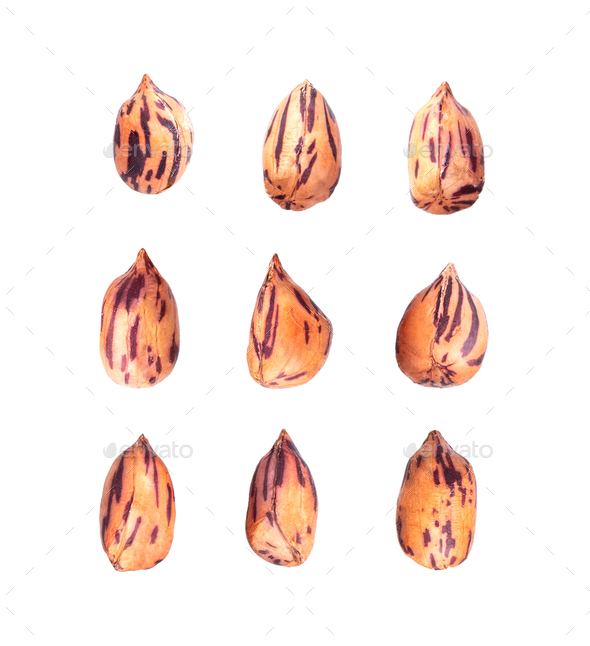 roasted peanuts ,thai name is tiger-stripe beans isolated on white ...