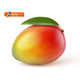Vector Realistic Mango, Vectors | GraphicRiver