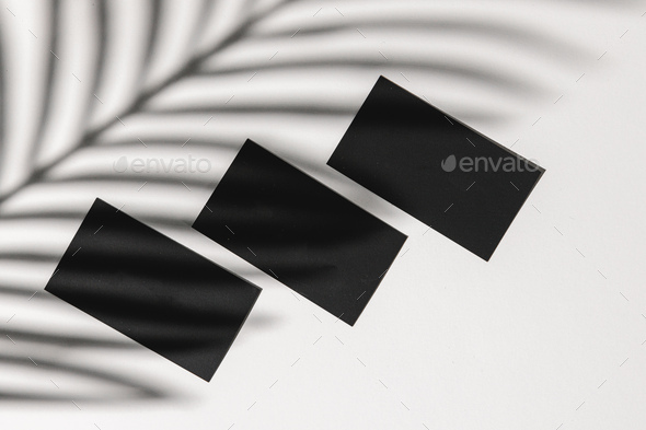 Business card on paper background with foliage shadow Stock Photo by ...