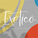 Exotico, Fonts | GraphicRiver