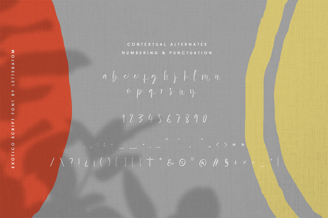 Exotico, Fonts | GraphicRiver