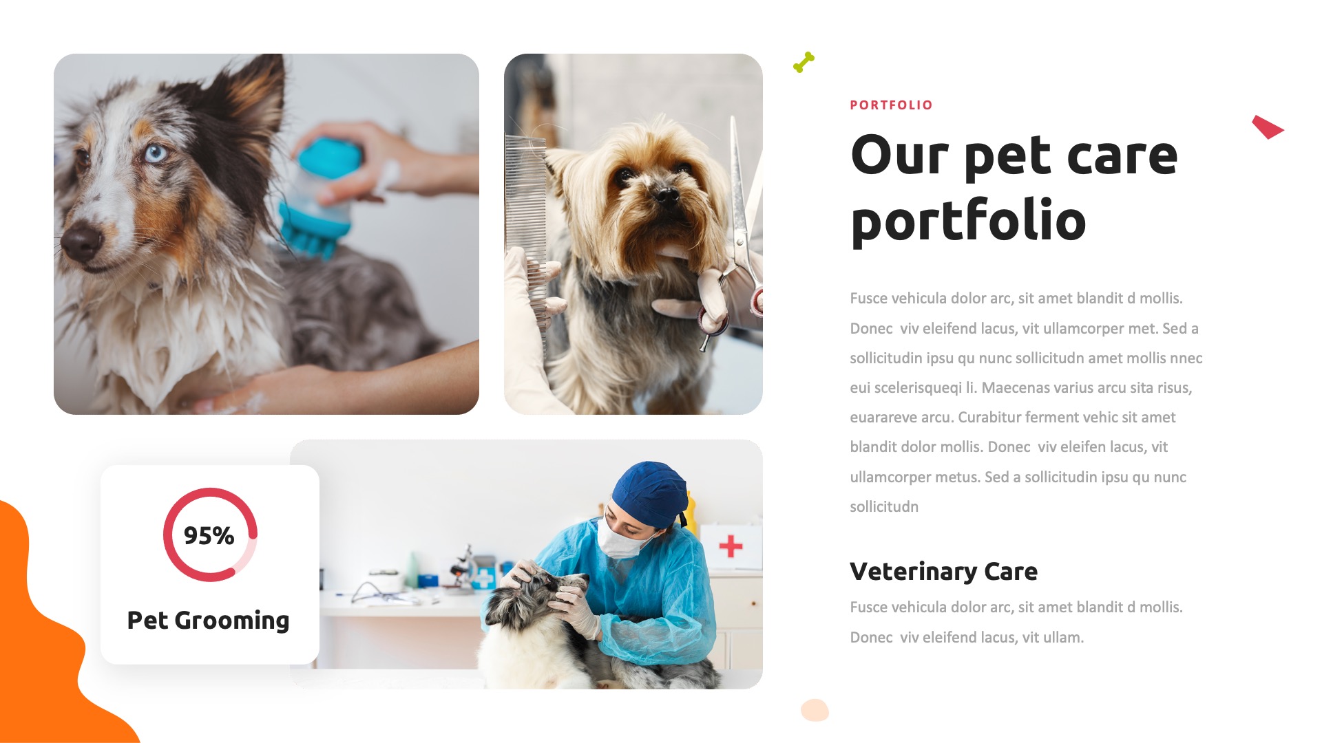 PETYNA - Pet Care & Breeding Powerpoint Template, Presentation Templates
