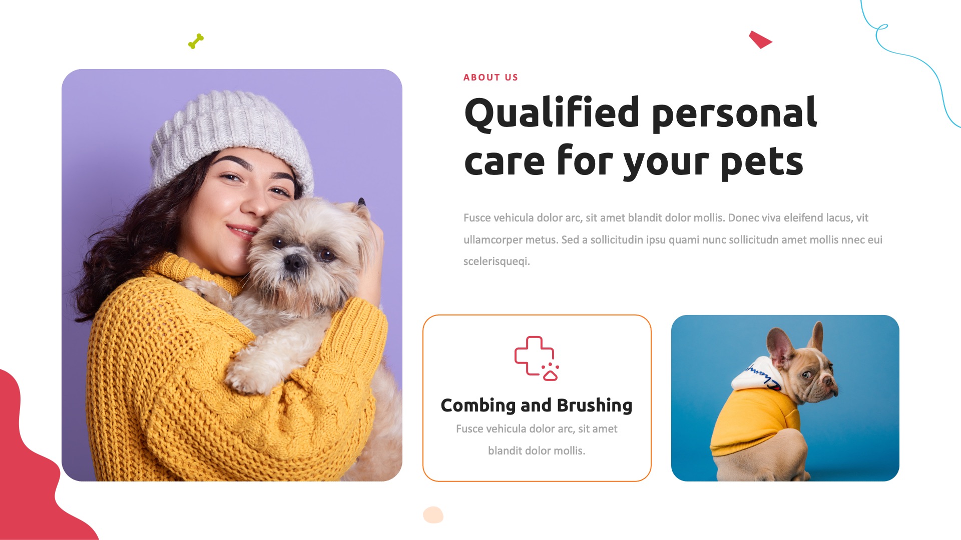 PETYNA - Pet Care & Breeding Powerpoint Template, Presentation Templates