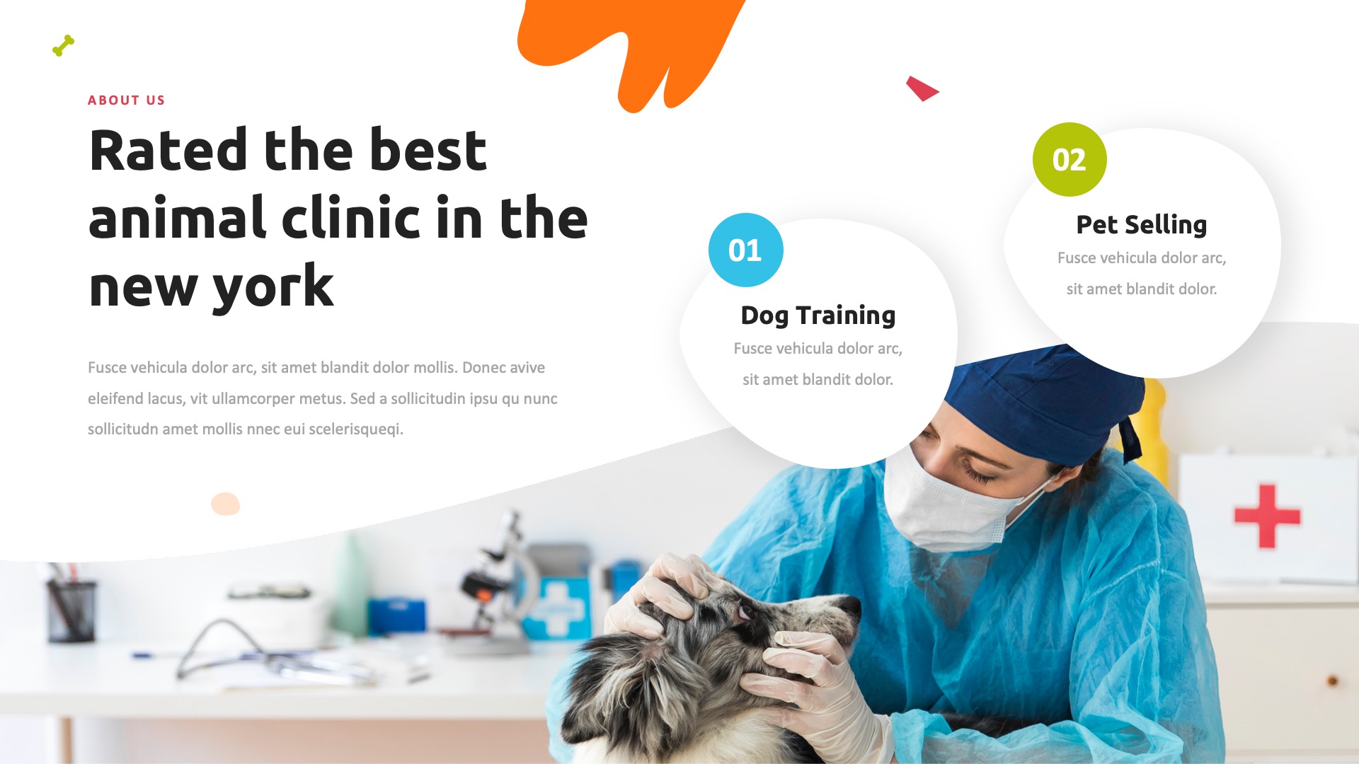 PETYNA - Pet Care & Breeding Powerpoint Template, Presentation Templates