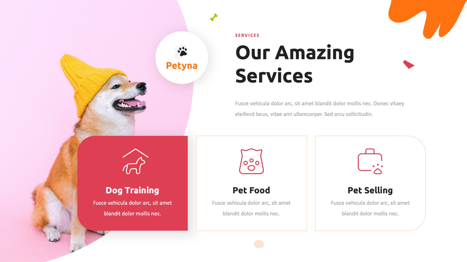 PETYNA - Pet Care & Breeding Google Slides Template, Presentation Templates