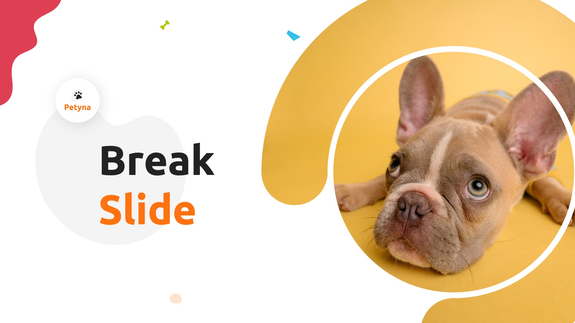 PETYNA - Pet Care & Breeding Google Slides Template, Presentation Templates
