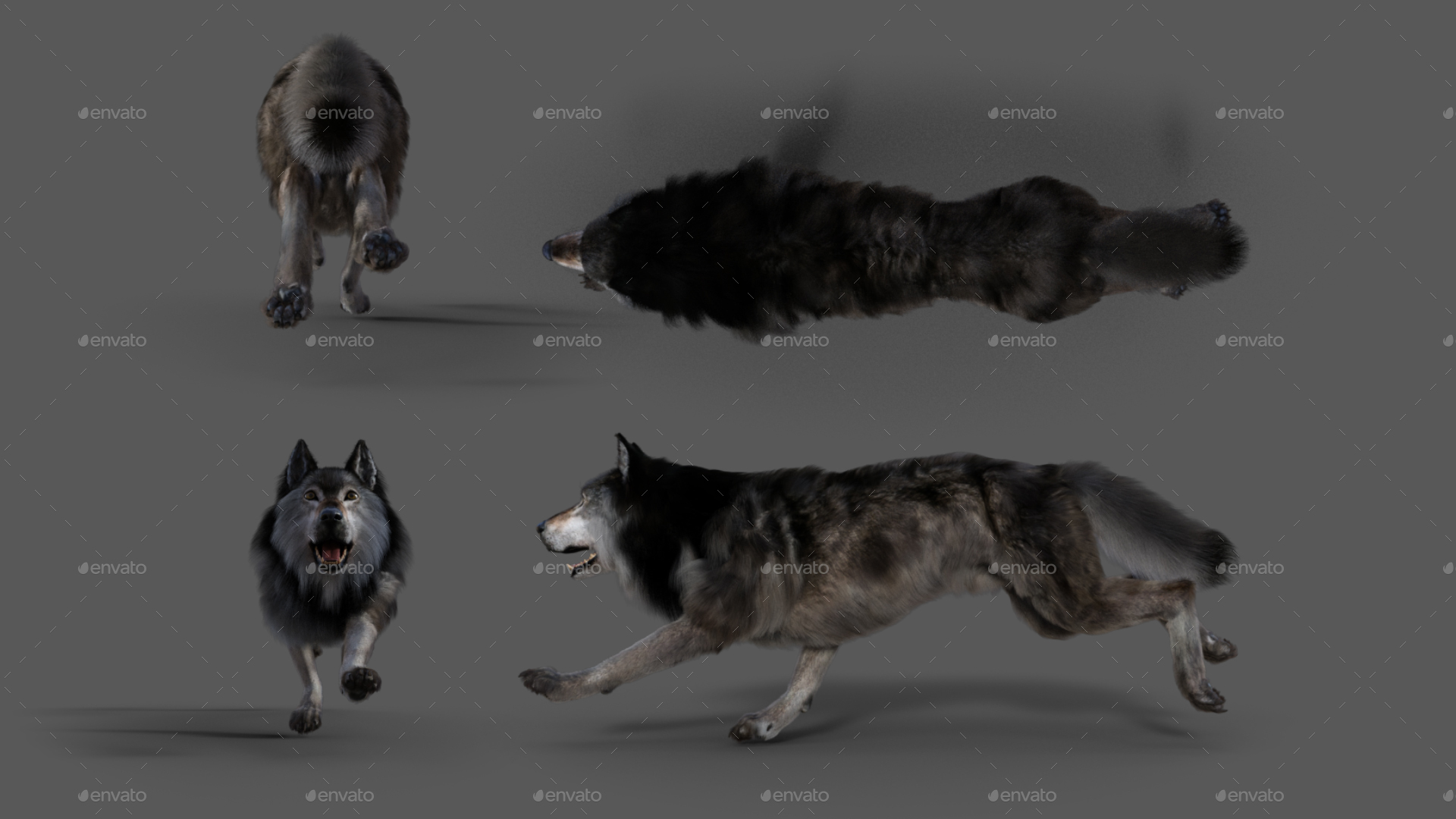 Wolf Run All Types, Game Assets | GraphicRiver