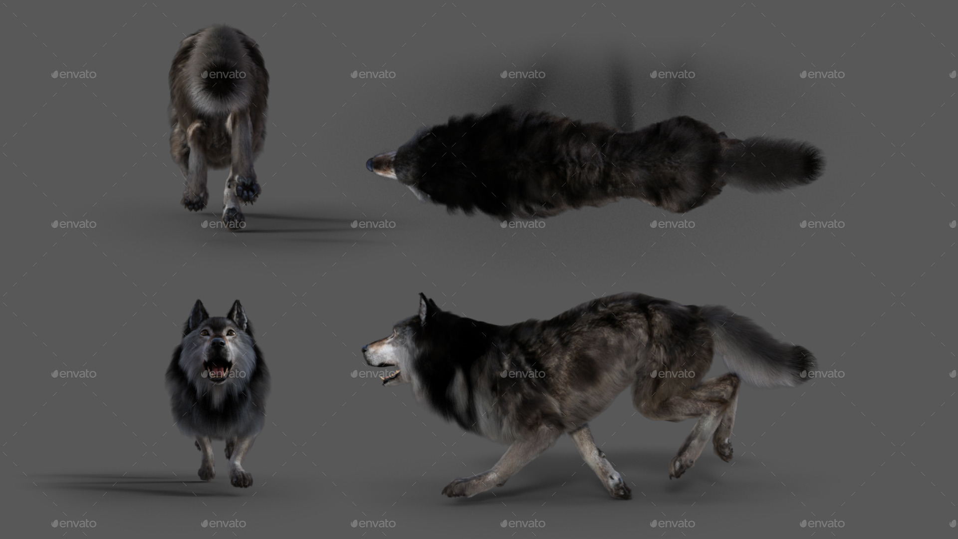 Wolf Run All Types, Game Assets | GraphicRiver