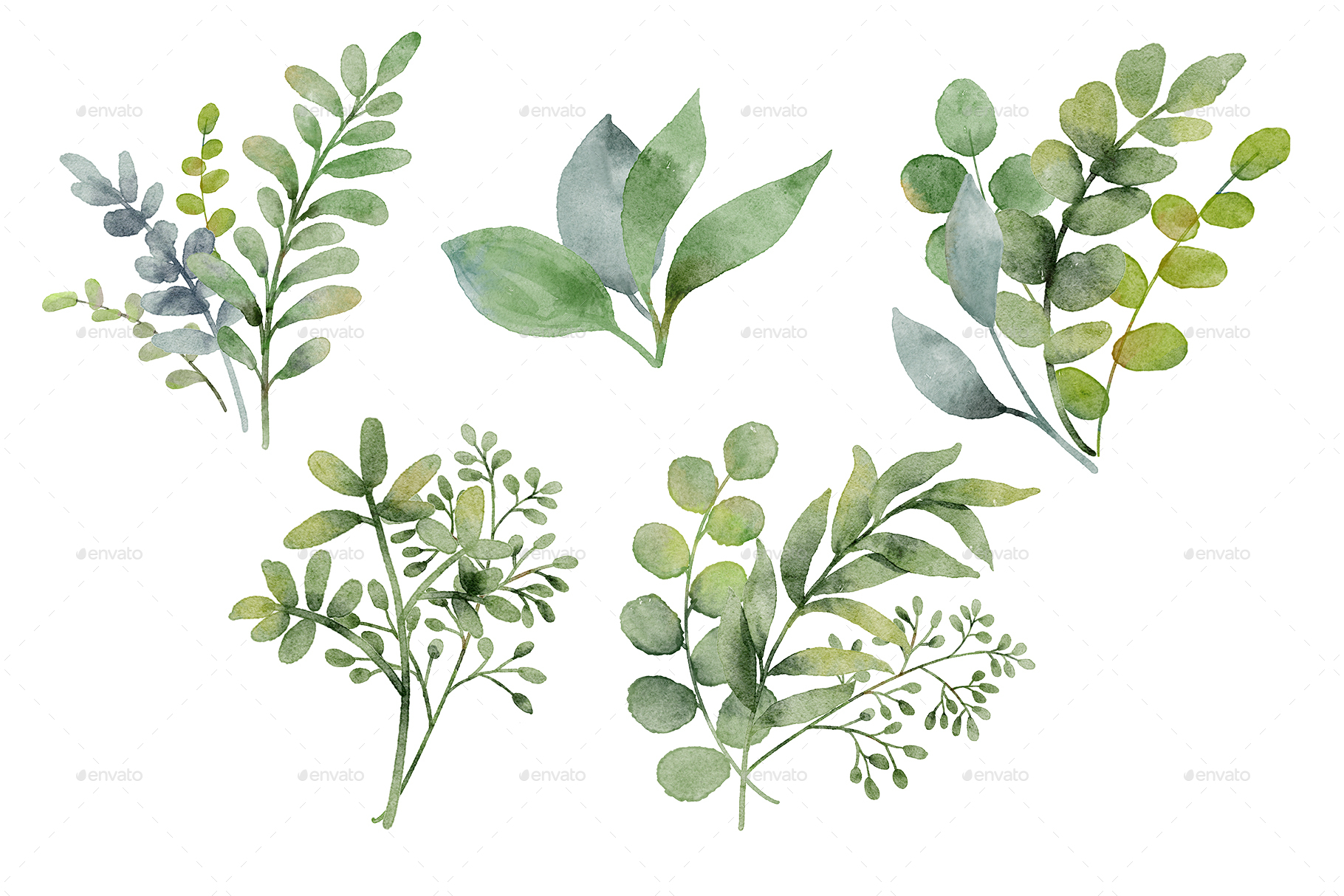 Greenery and Foliage Watercolor Set., Graphics | GraphicRiver