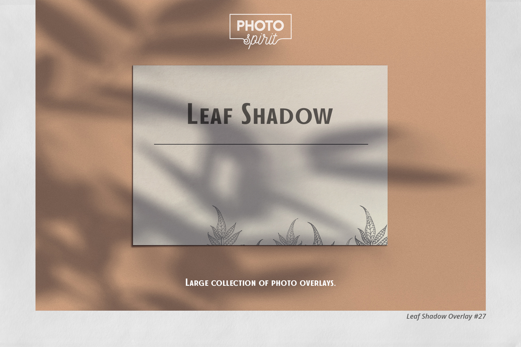 Leaf Shadow Overlays, Add-ons | GraphicRiver