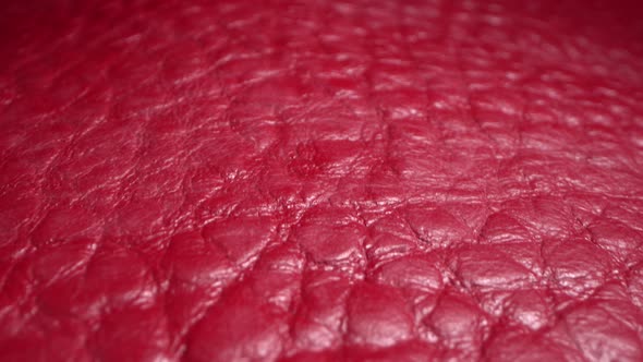 Red color exotic skin. Real leather texture very close up. Natural ...