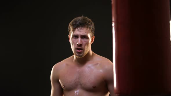 Sports Man Sweating After Exhausted Boxing Training, Success and ...