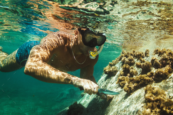 Exploring The Reef Stock Photo by micens | PhotoDune