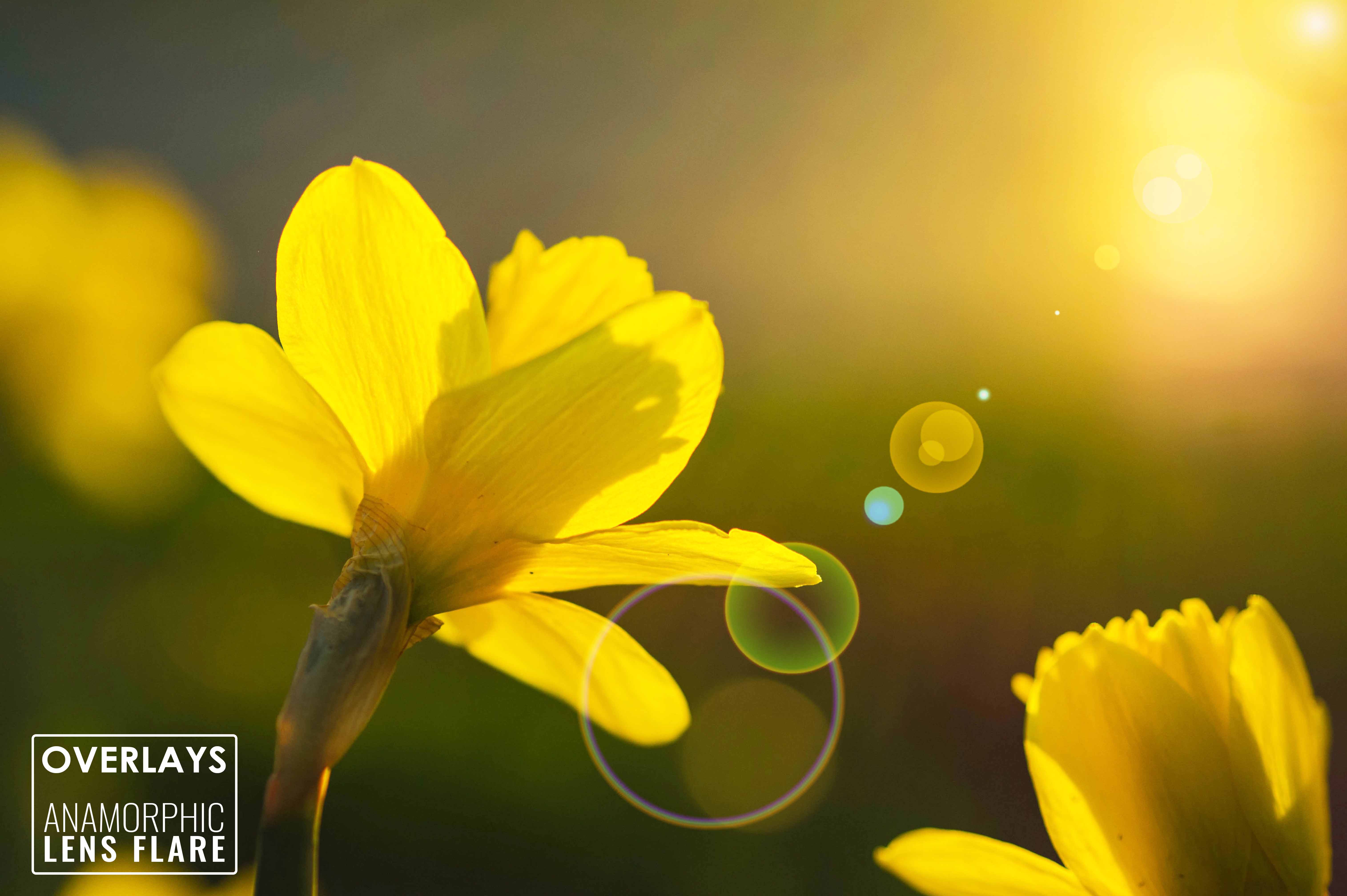 40 Anamorphic Lens Flare Overlays, Add-ons | GraphicRiver