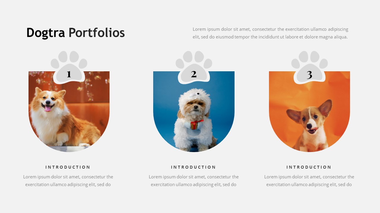 DOGTRA – Creative Business PowerPoint Template by abildesign | GraphicRiver