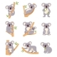 Cute Koala, Vectors | GraphicRiver
