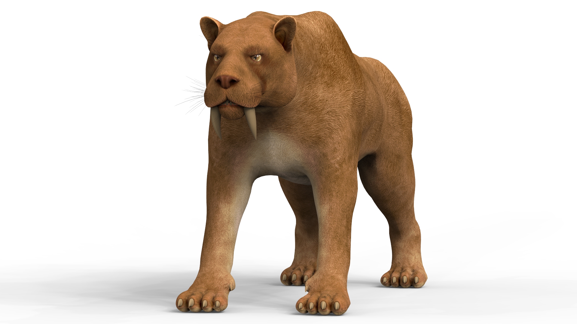 Sabertooth With PBR Textures by creativejungle007 | 3DOcean
