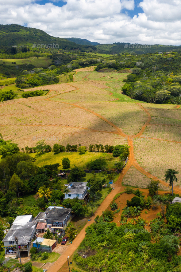 Bird's-eye view of the mountains and fields of the island of Mauritius ...