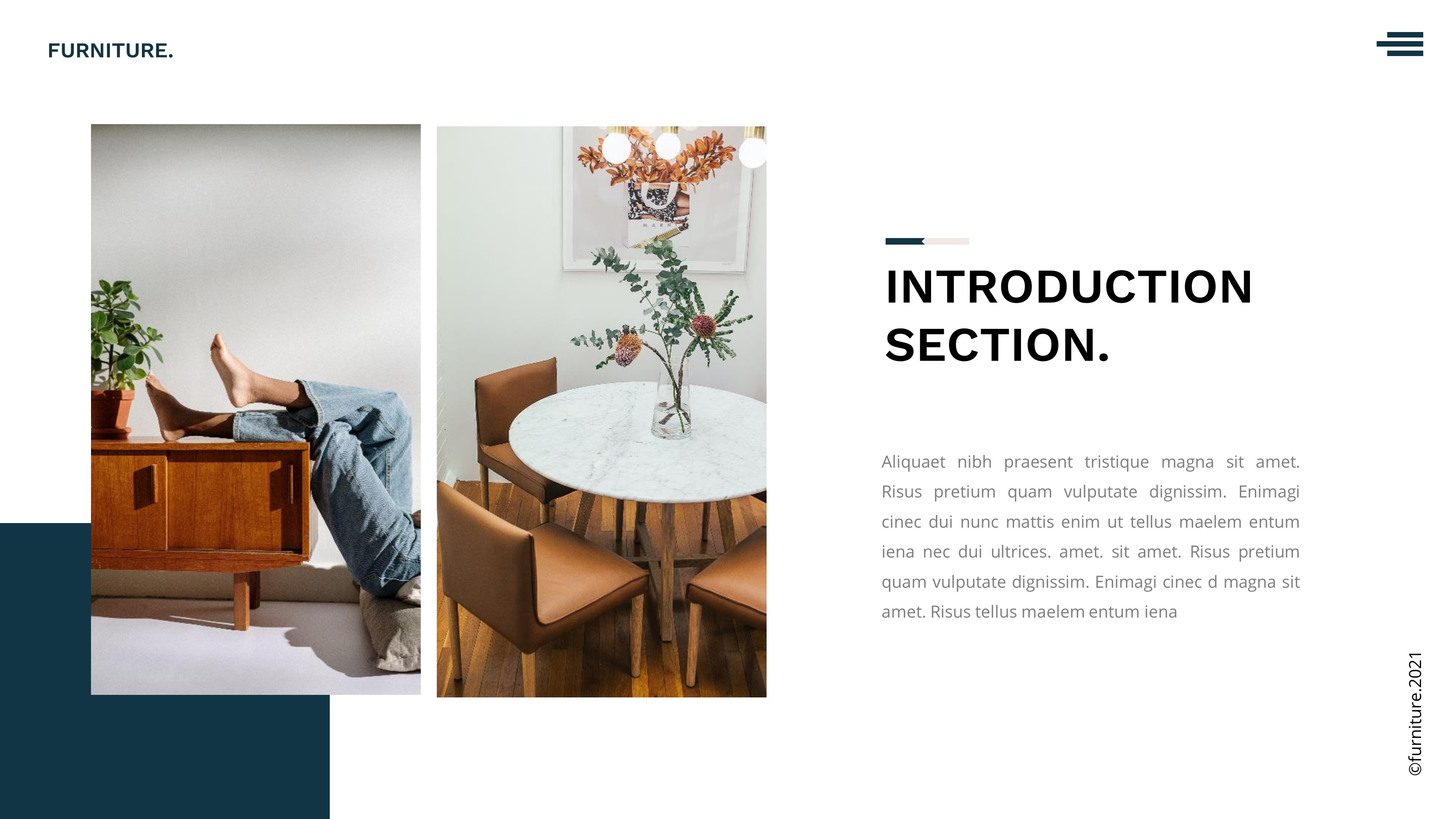 Furniture Google Slide Template Presentation, Presentation Templates