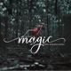 magic script, Fonts | GraphicRiver