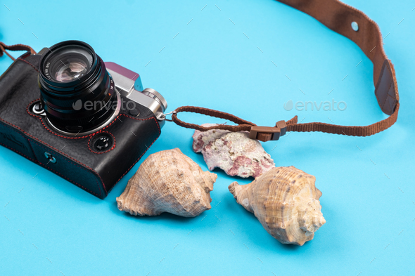 camera and seashells on a blue background.Background for the traveler ...