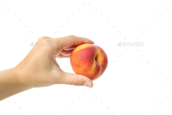 Female hand holds peach fruit, isolated on white background Stock Photo ...