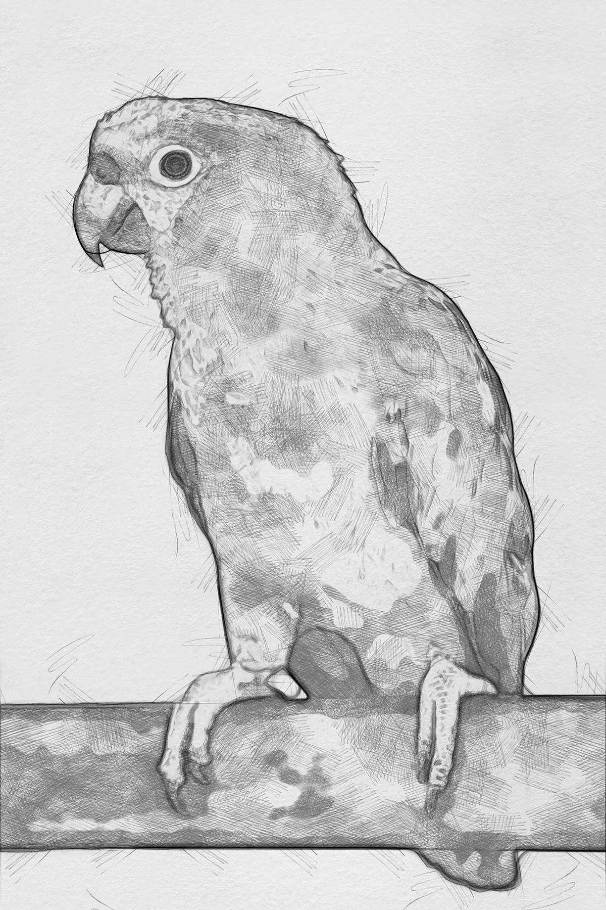 2B Sketch, Add-ons | GraphicRiver