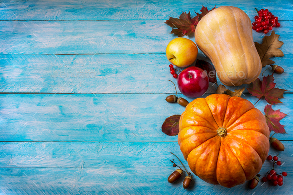Thanksgiving greeting with pumpkins and fall leaves on blue background ...