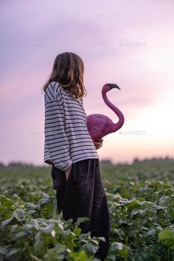 Woman with pink flamingo on the field at sunset Stock Photo by RossHelen