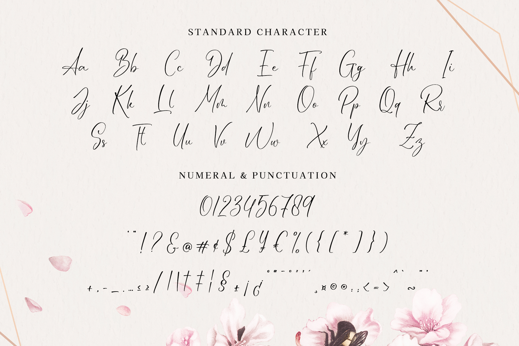 Alexandria - Handwritten Script, Fonts | GraphicRiver