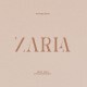 Zarla Serif Font, Fonts | GraphicRiver