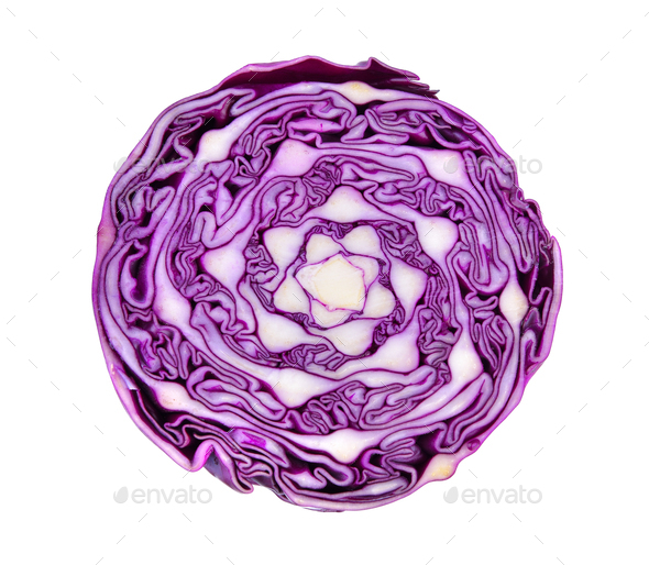 half Purple cabbage isolated on white Stock Photo by sommai | PhotoDune