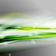 Abstract green vector design, Vectors | GraphicRiver