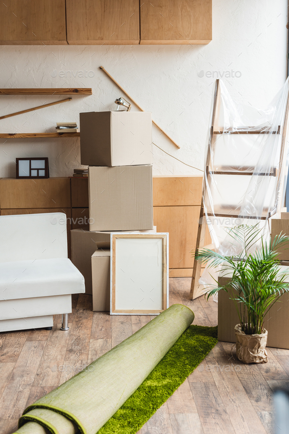 cardboard boxes, rolled carpet, green houseplant and furniture in new ...