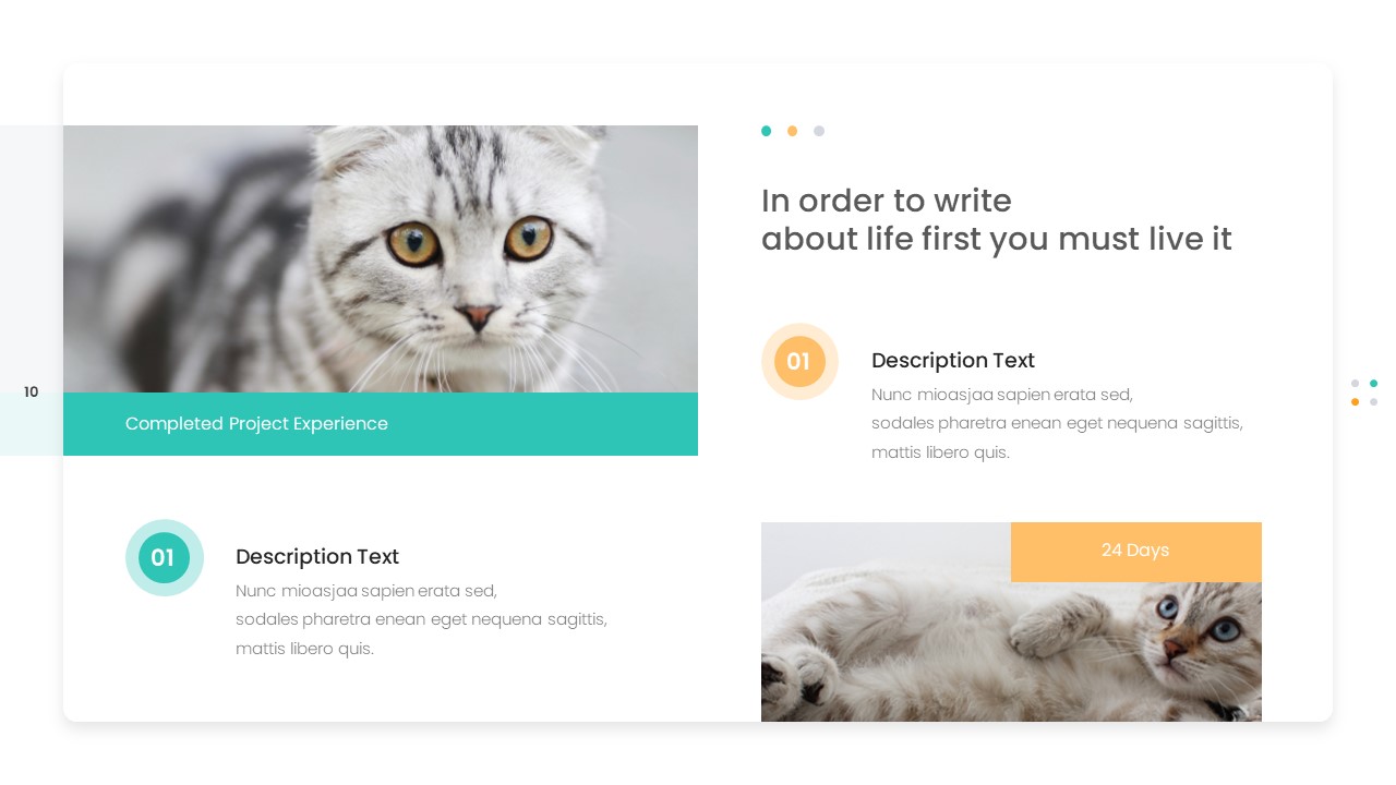Paws - Animal Care Powerpoint Presentation, Presentation Templates