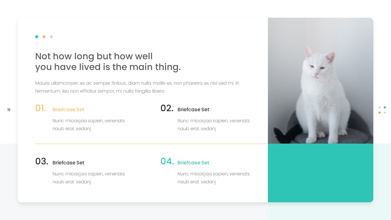 Paws - Animal Care Powerpoint Presentation, Presentation Templates