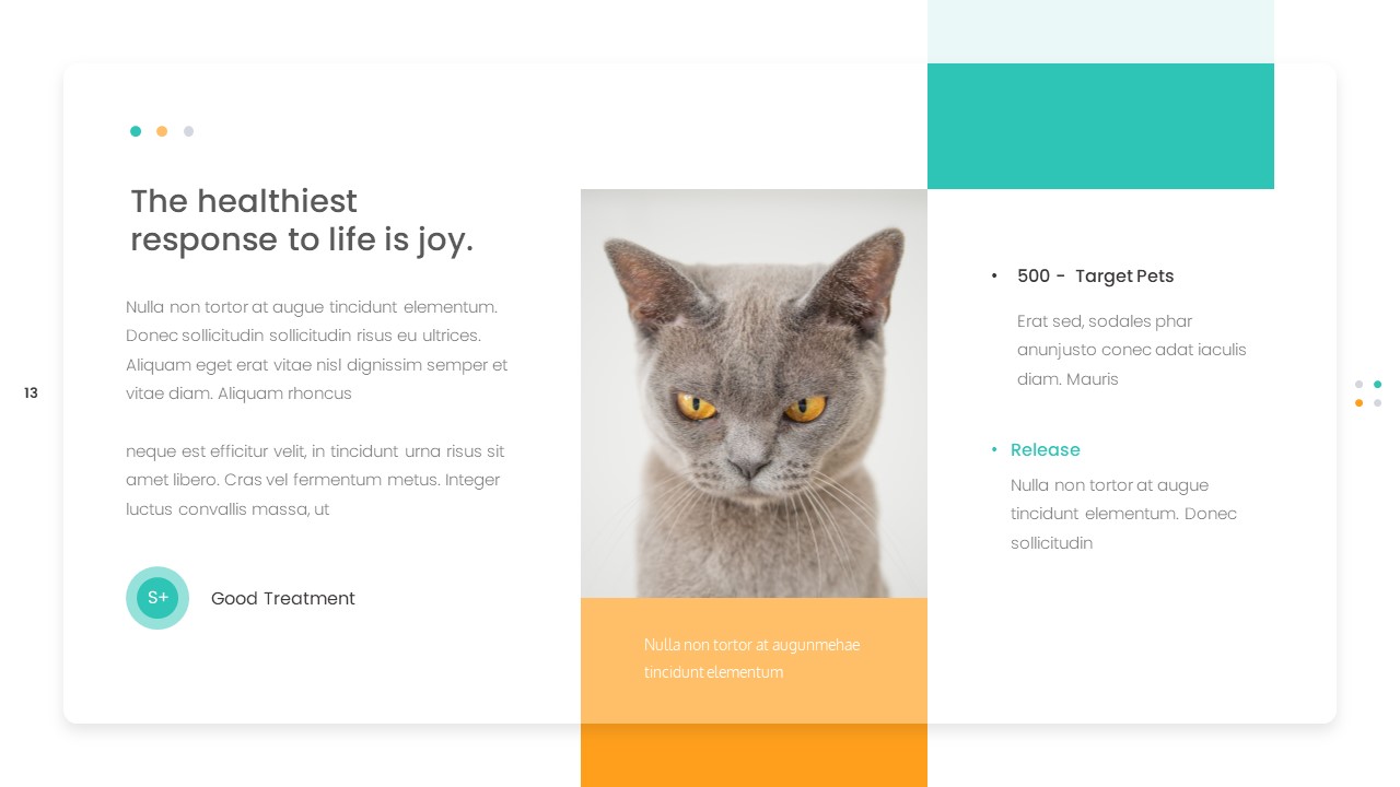 Paws - Animal Care Powerpoint Presentation, Presentation Templates