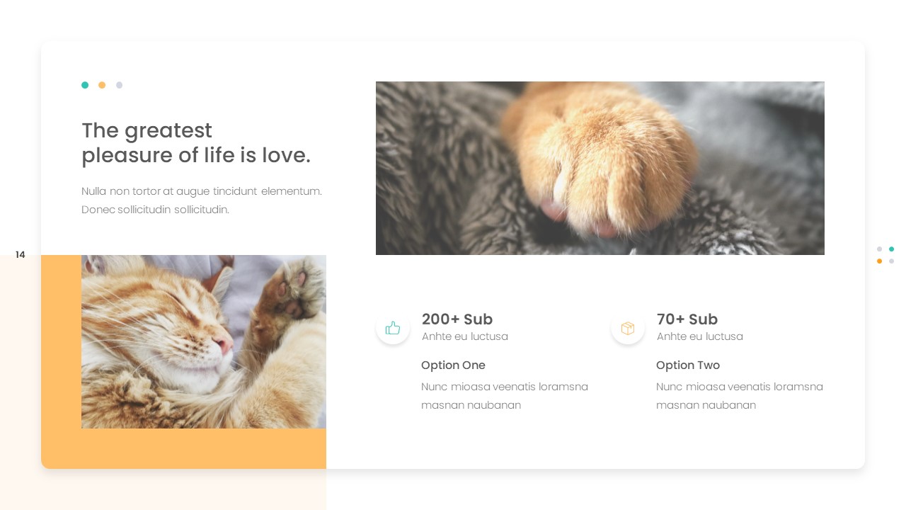Paws - Animal Care Powerpoint Presentation, Presentation Templates
