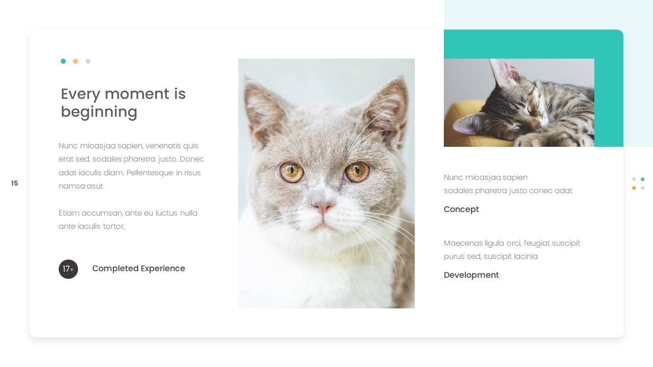 Paws - Animal Care Powerpoint Presentation, Presentation Templates