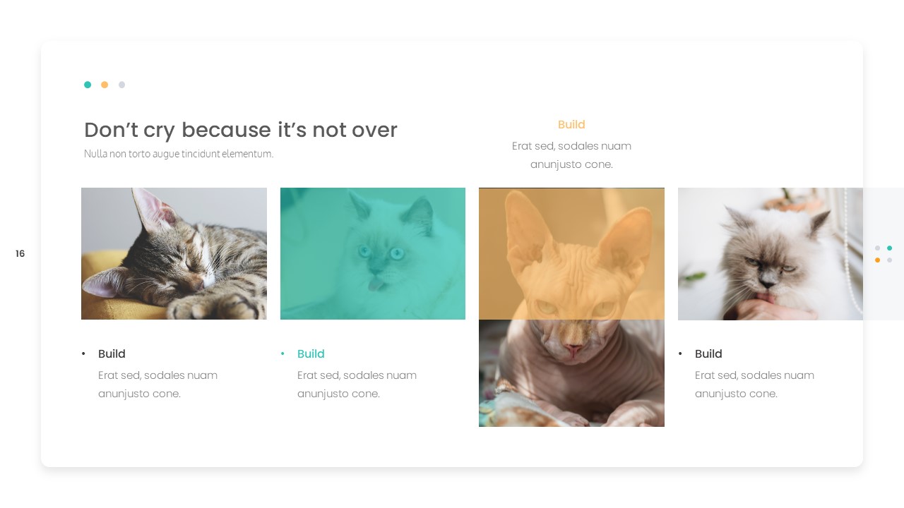 Paws - Animal Care Powerpoint Presentation, Presentation Templates